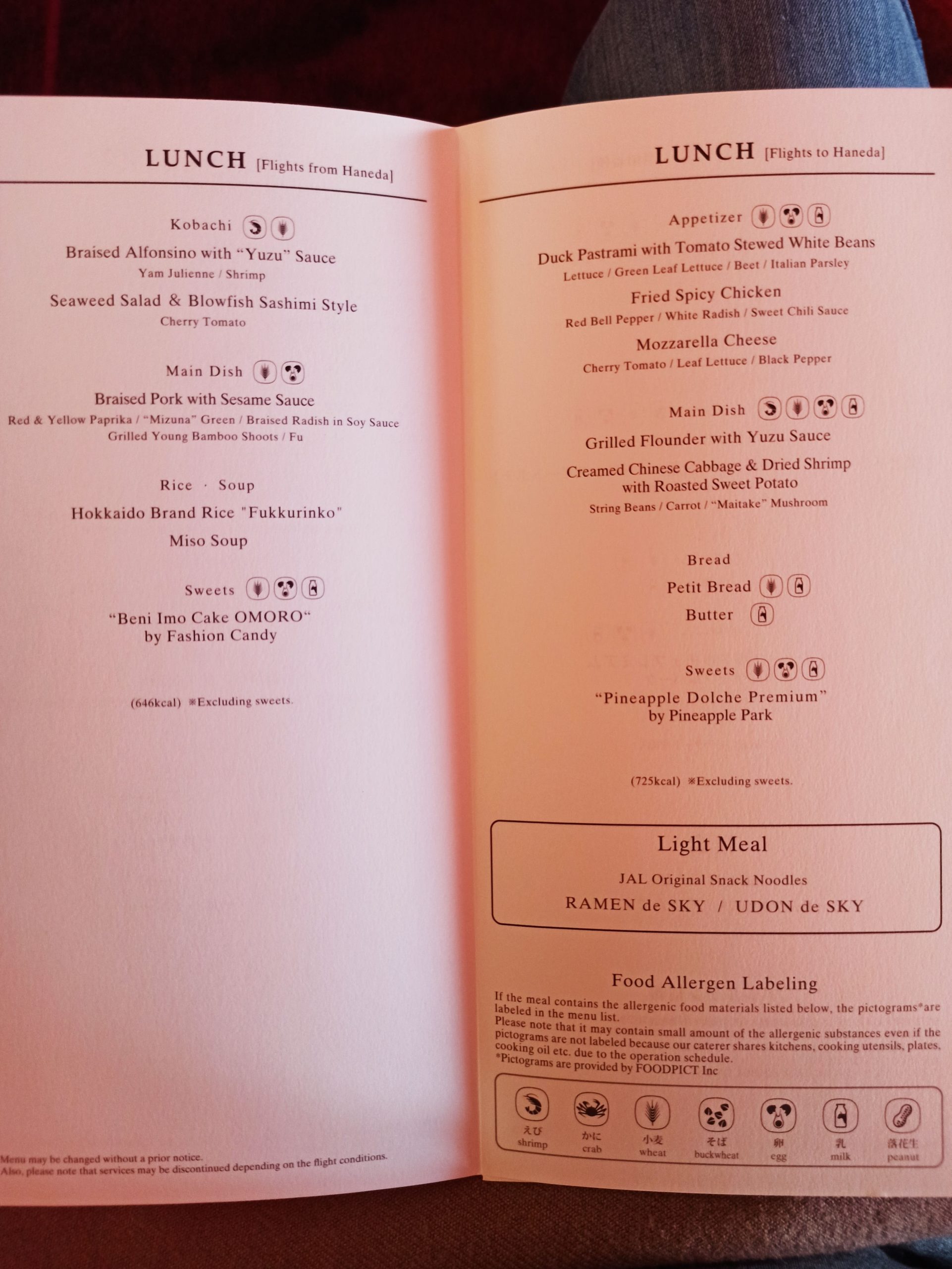 F JAL Menu 3 - PinterPoin